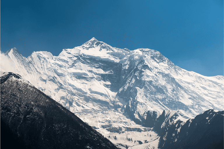 11 Famous Mountain Climbers Who Shaped Mountaineering
